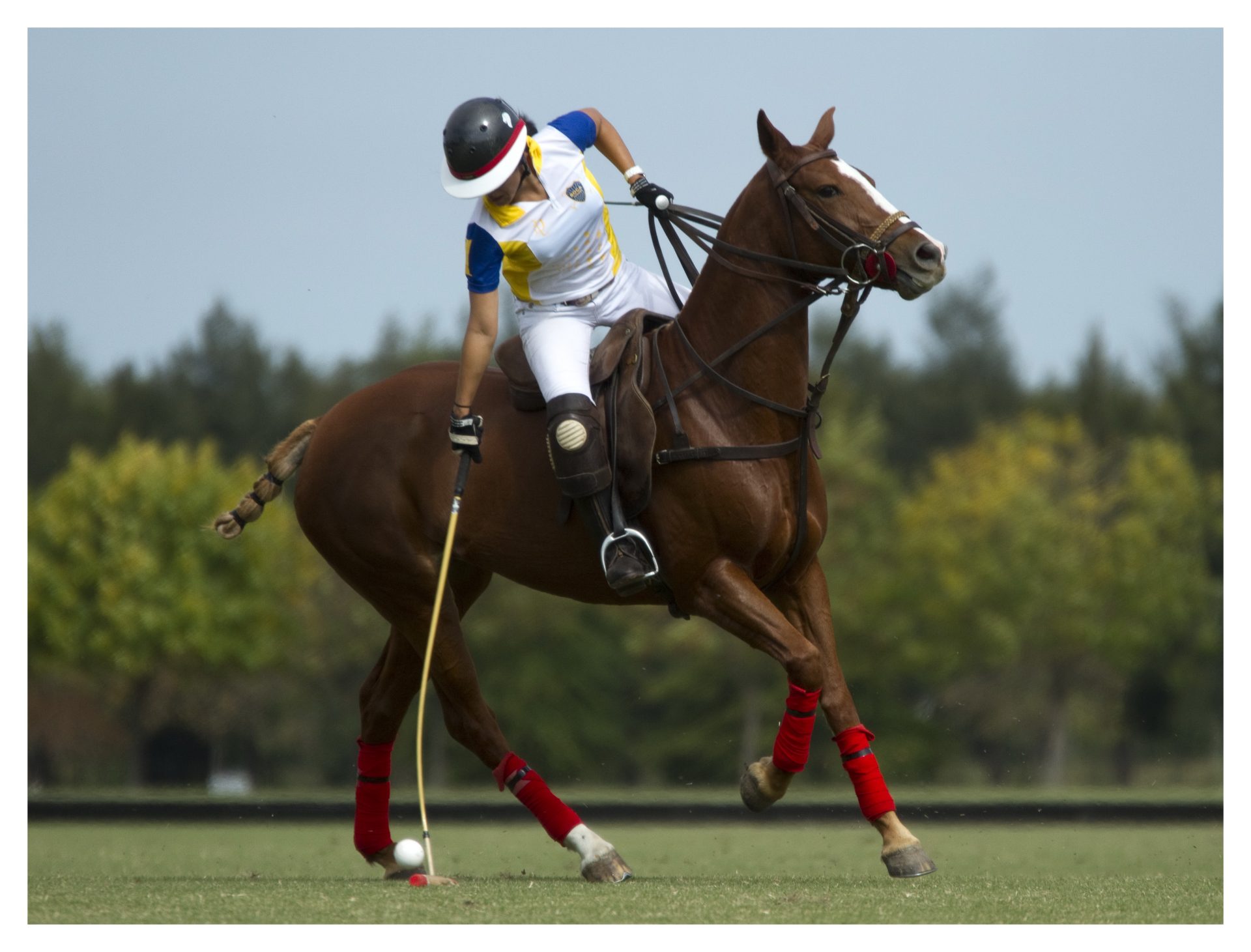 LYNLY FONG - Singapore Polo Club
